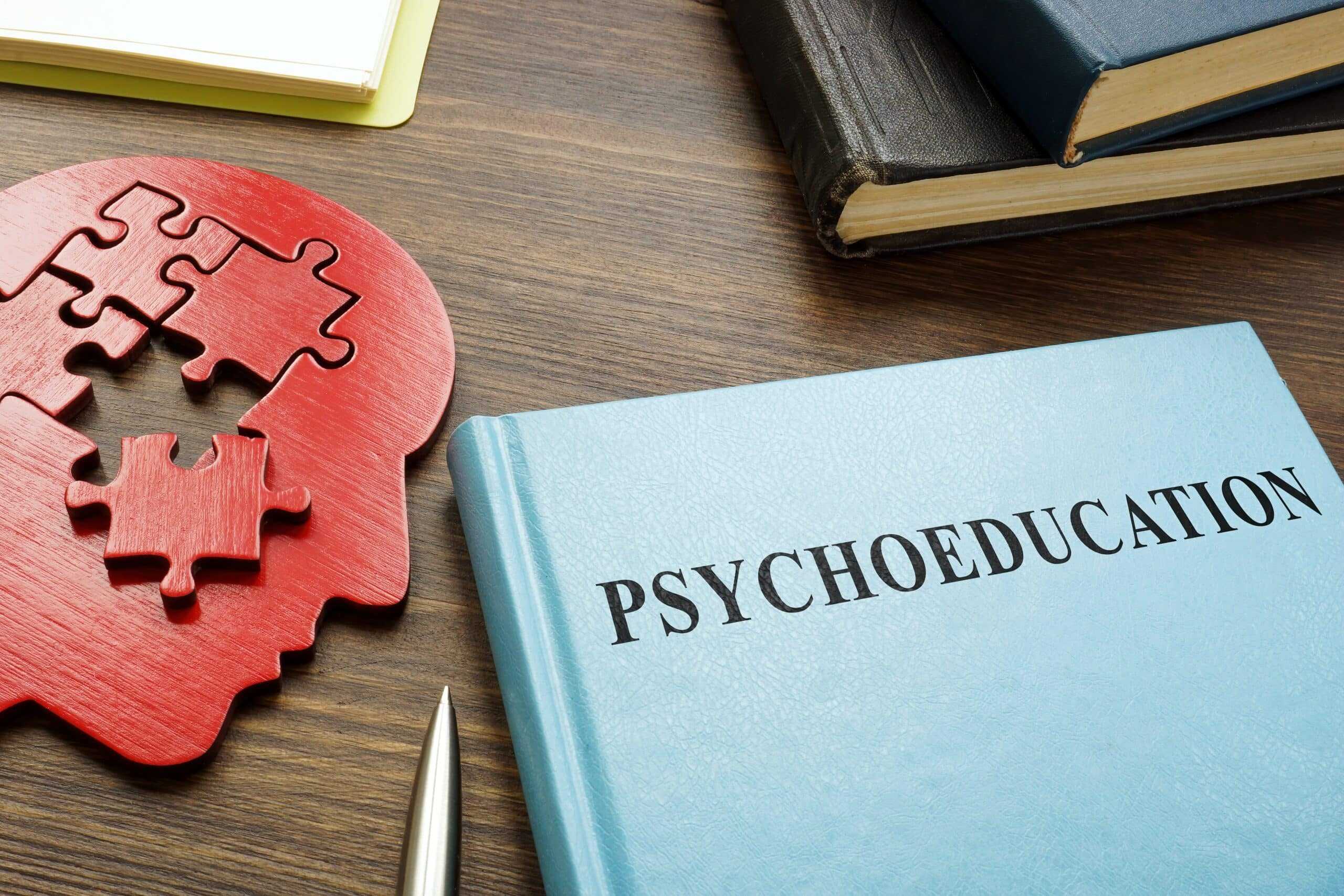 What is Psychoeducational Therapy? - Laguna View Detox